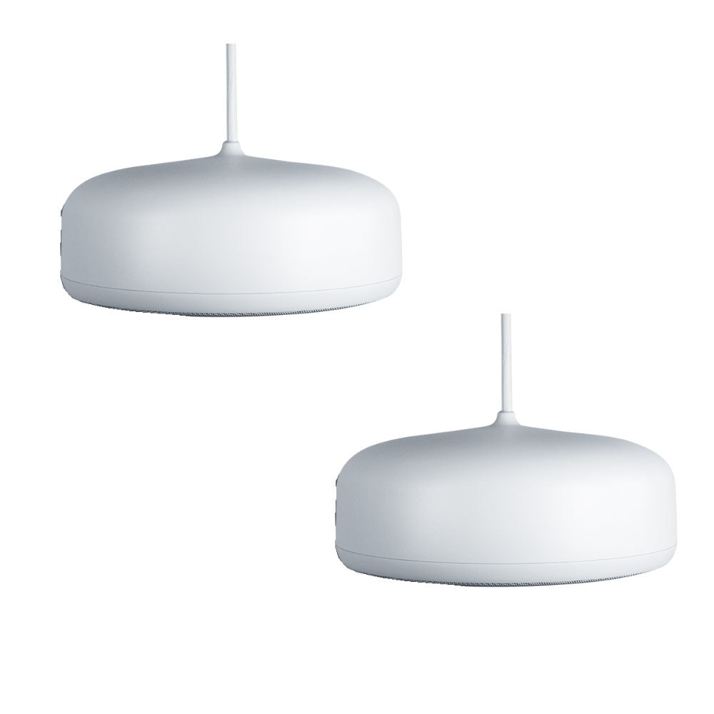 Biamp Desono P6SM - Two-Way 6.5-Inch Pendant Loudspeaker (White)